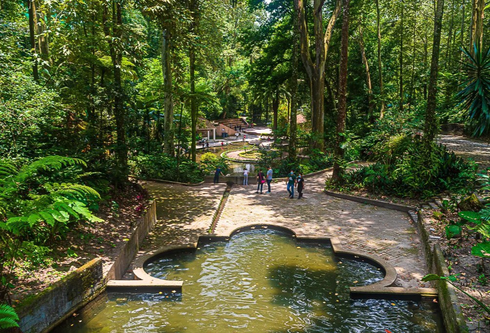 Parque Los Tecajetes de Xalapa - El Estridente